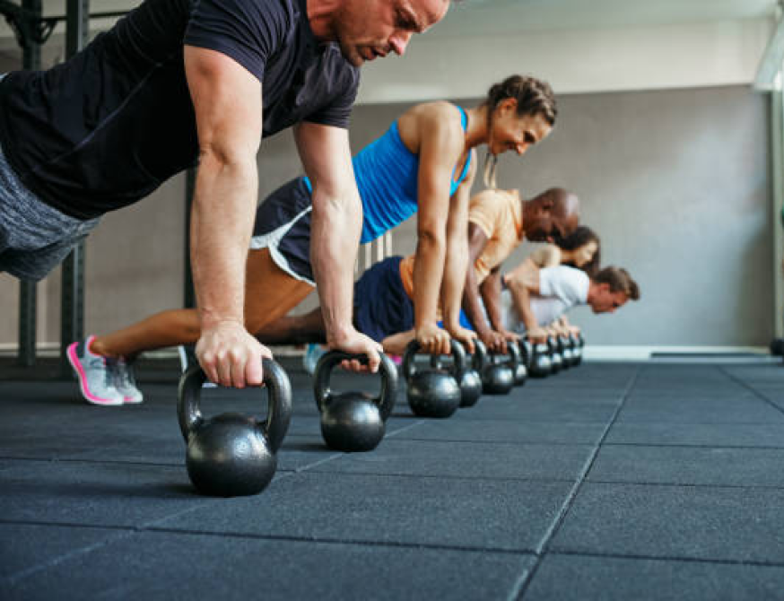 Shark Fit Training - Shark Fit Training